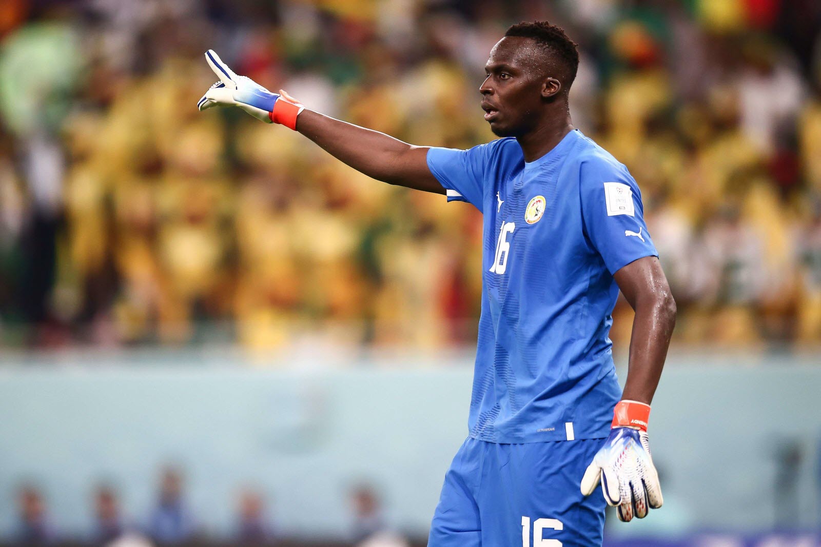 2026 World Cup Qualifiers: Senegal goalkeeper Édouard Mendy rallies ...